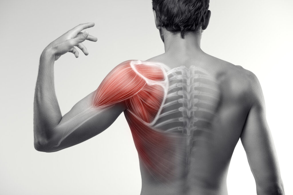 Shoulder Pain from Throwing? Here’s What You Need to Know - Elite ...